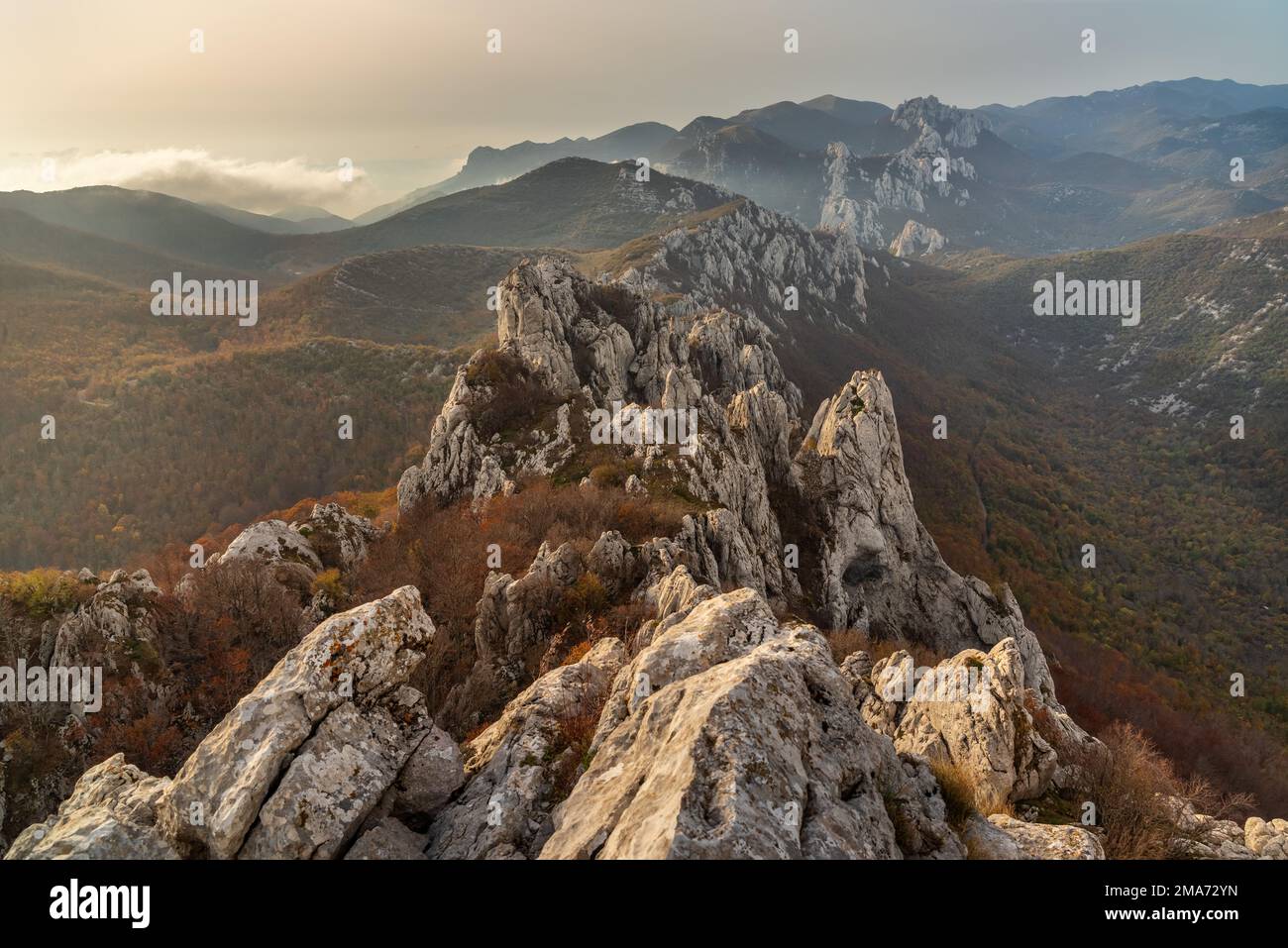 Kiza hi-res stock photography and images - Alamy