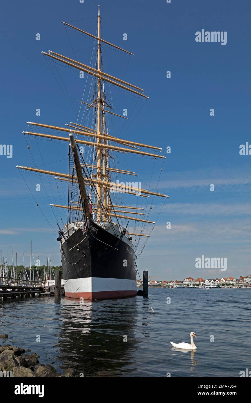 Museum sailing ship Passat, Swan, Priwall, Travemuende, Luebeck ...