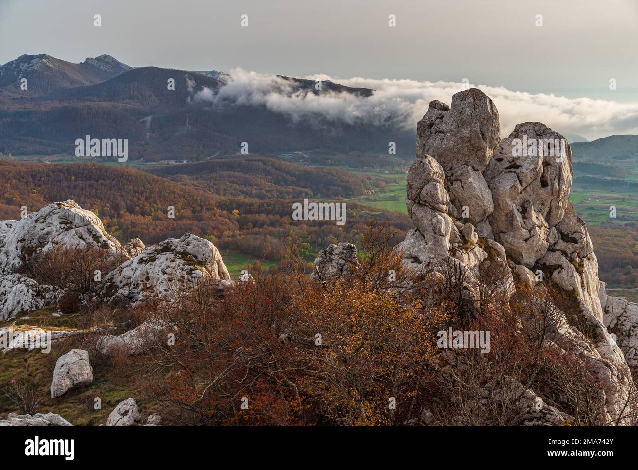 Kiza hi-res stock photography and images - Alamy