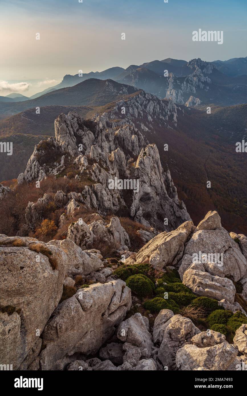 Kiza hi-res stock photography and images - Alamy