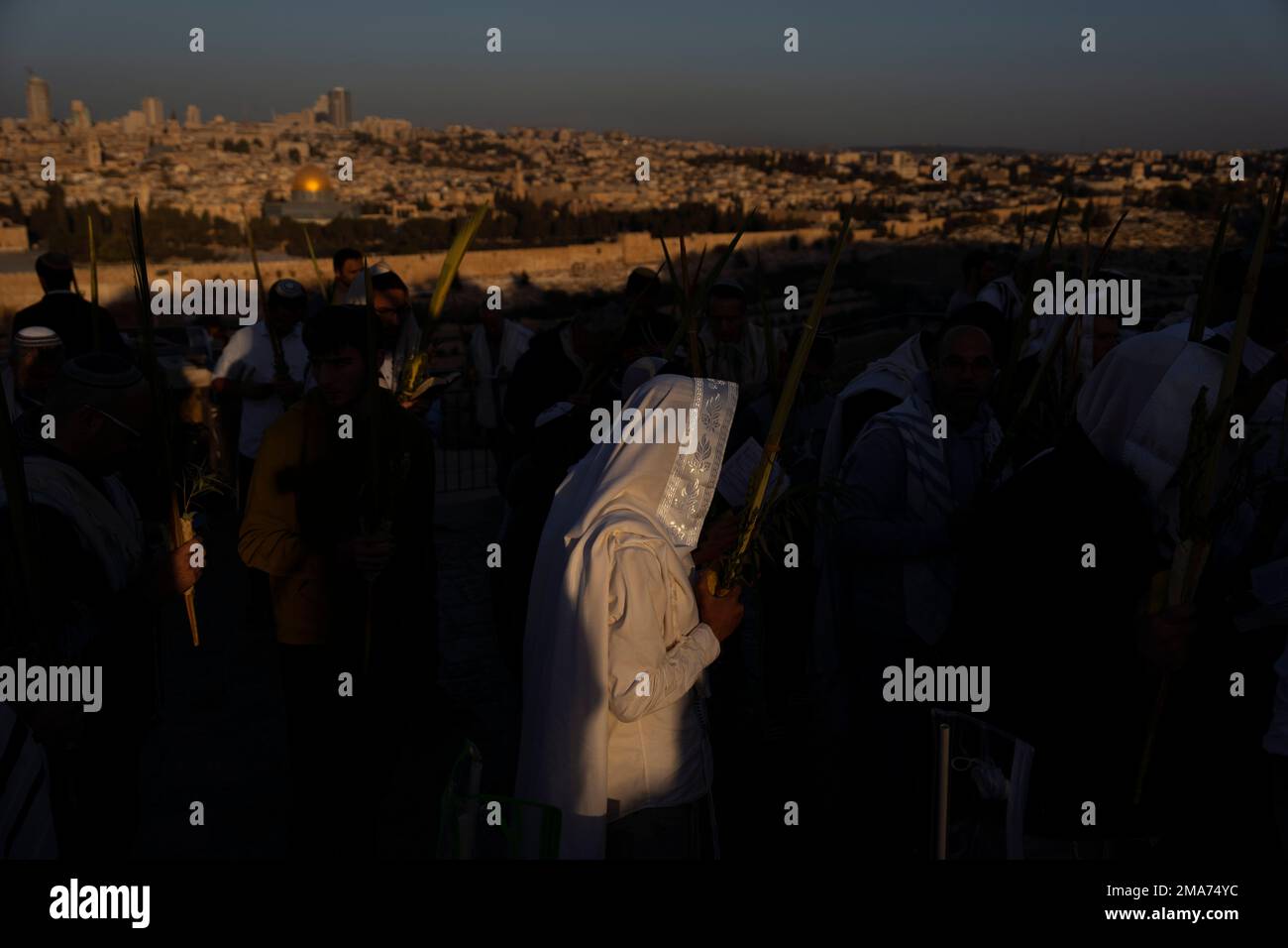 Ultra-Orthodox Jews wearing prayer shawls perform the Hoshana Rabbah ...