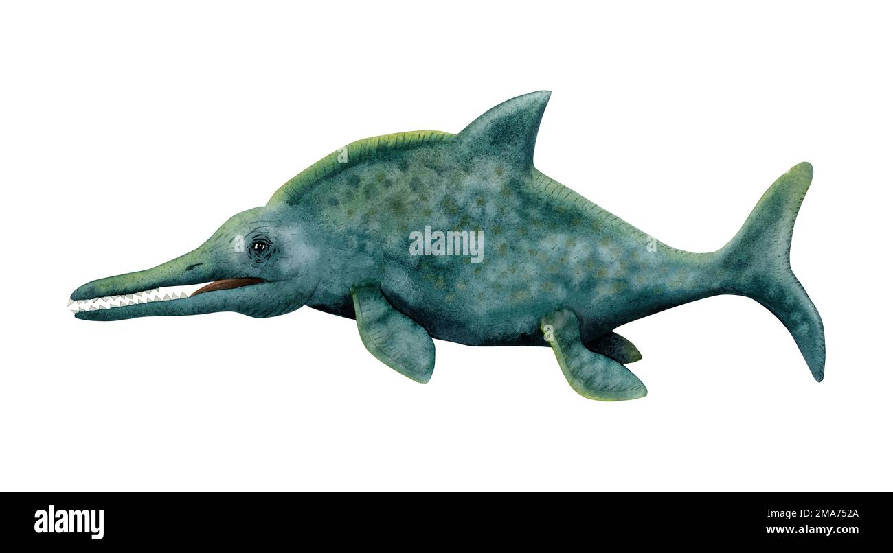 Ichthyosaur art hi-res stock photography and images - Alamy