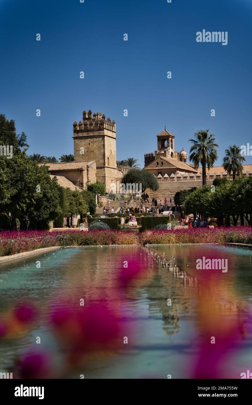 A vertical shot of the gardens of Alcazar of The Christian Monarchs in ...