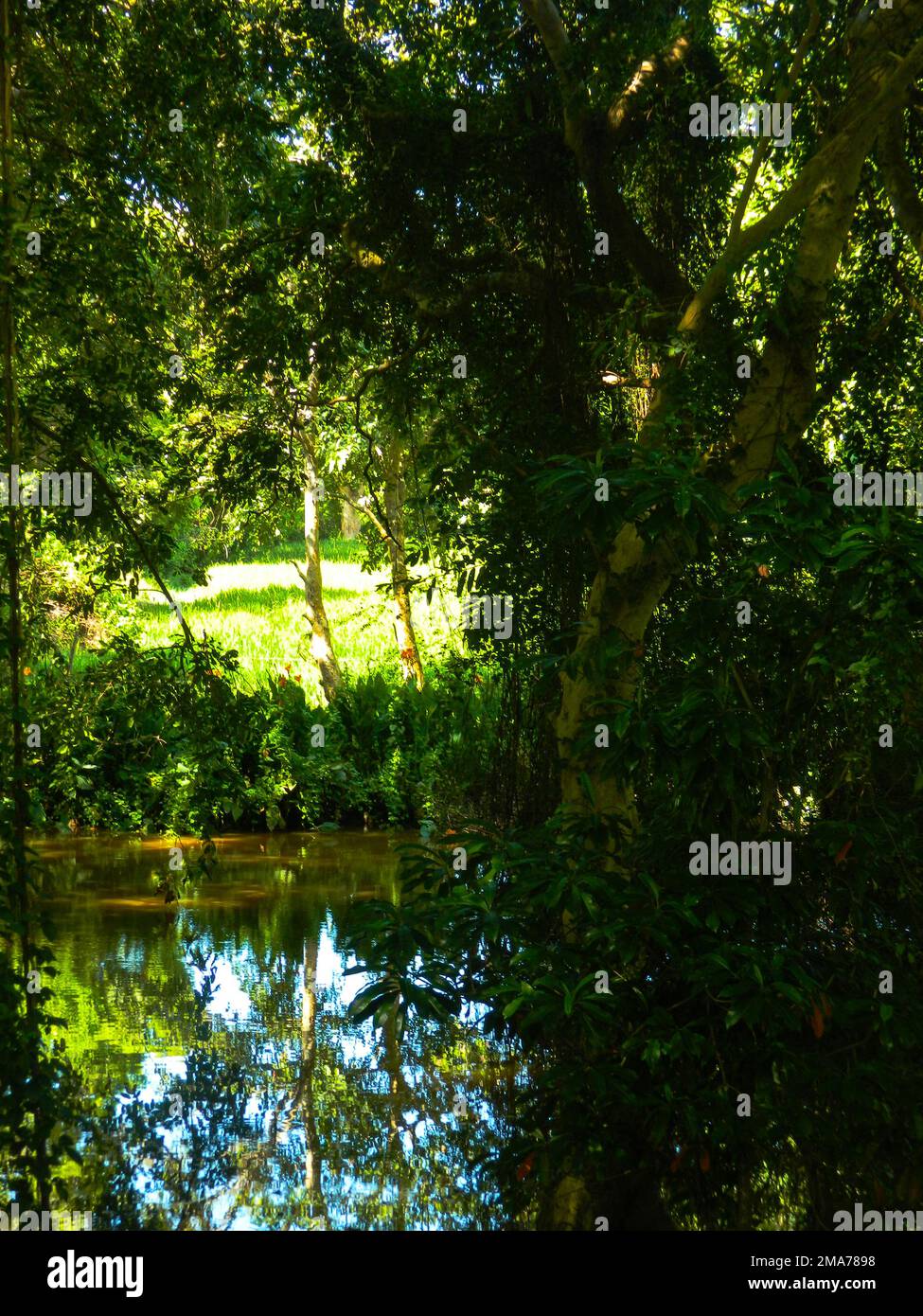 North western province in sri lanka hi-res stock photography and images ...