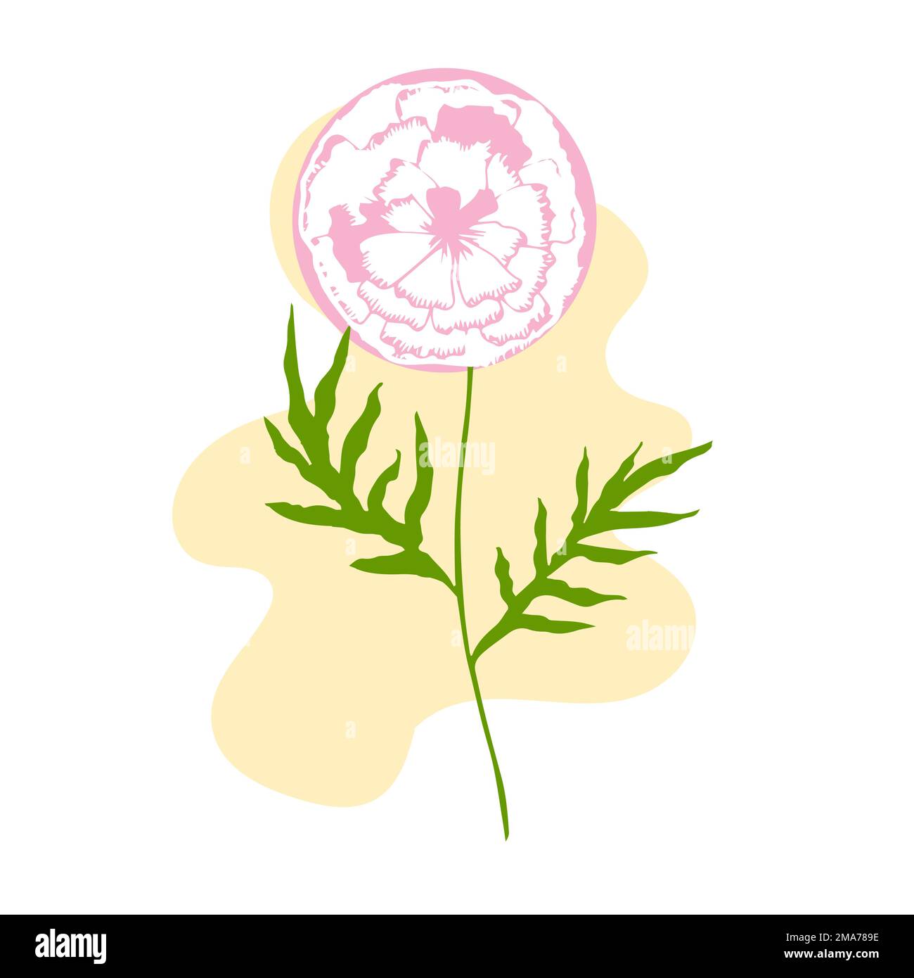 Floral composition. Vector illustration Stock Vector Image & Art - Alamy