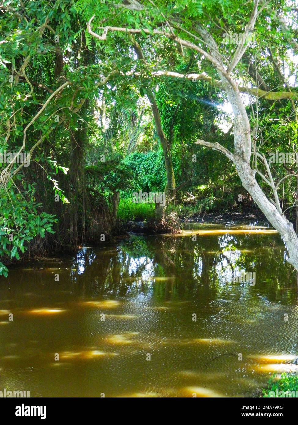 Maradansola hi-res stock photography and images - Alamy