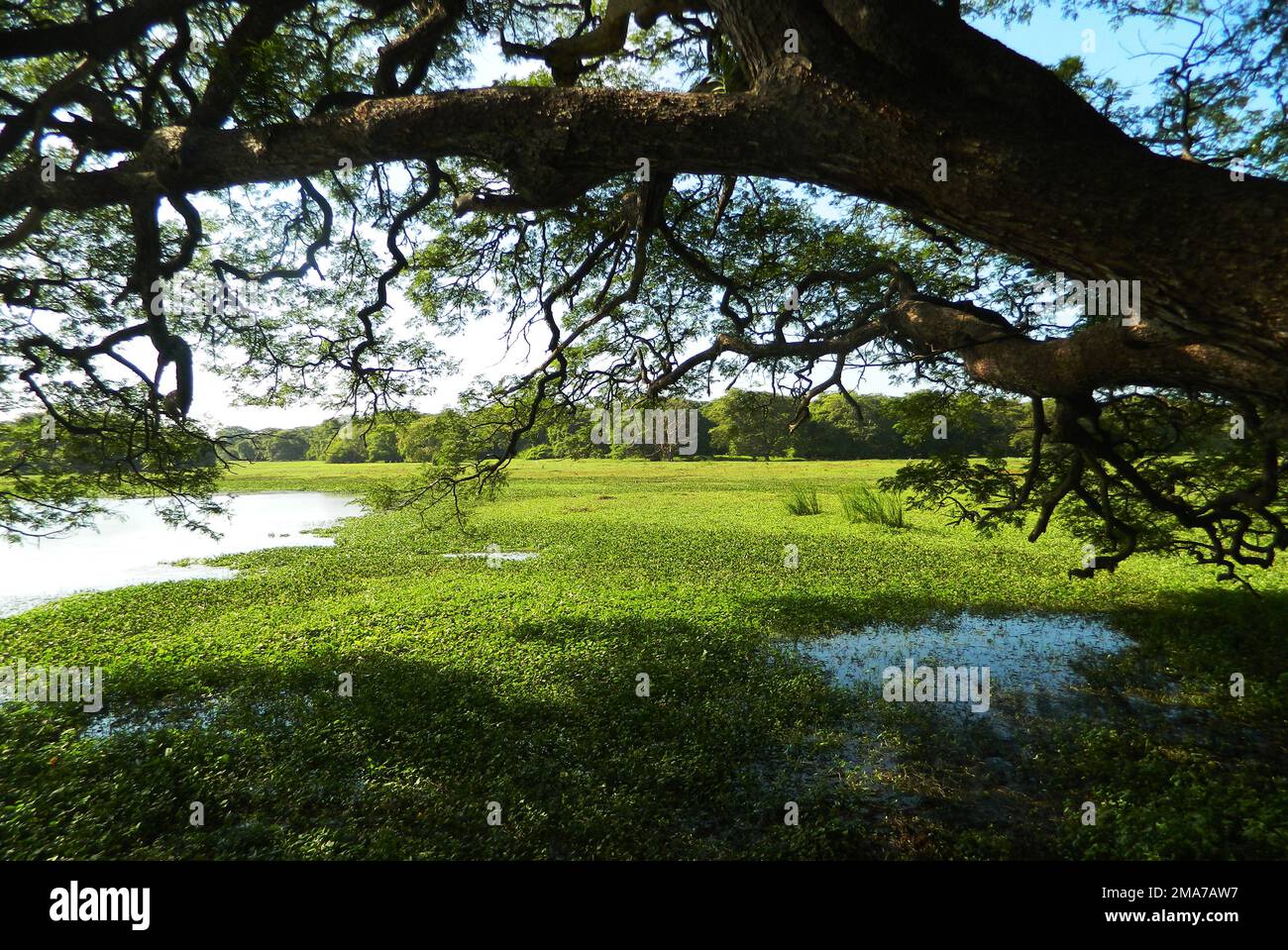 North western province in sri lanka hi-res stock photography and images ...