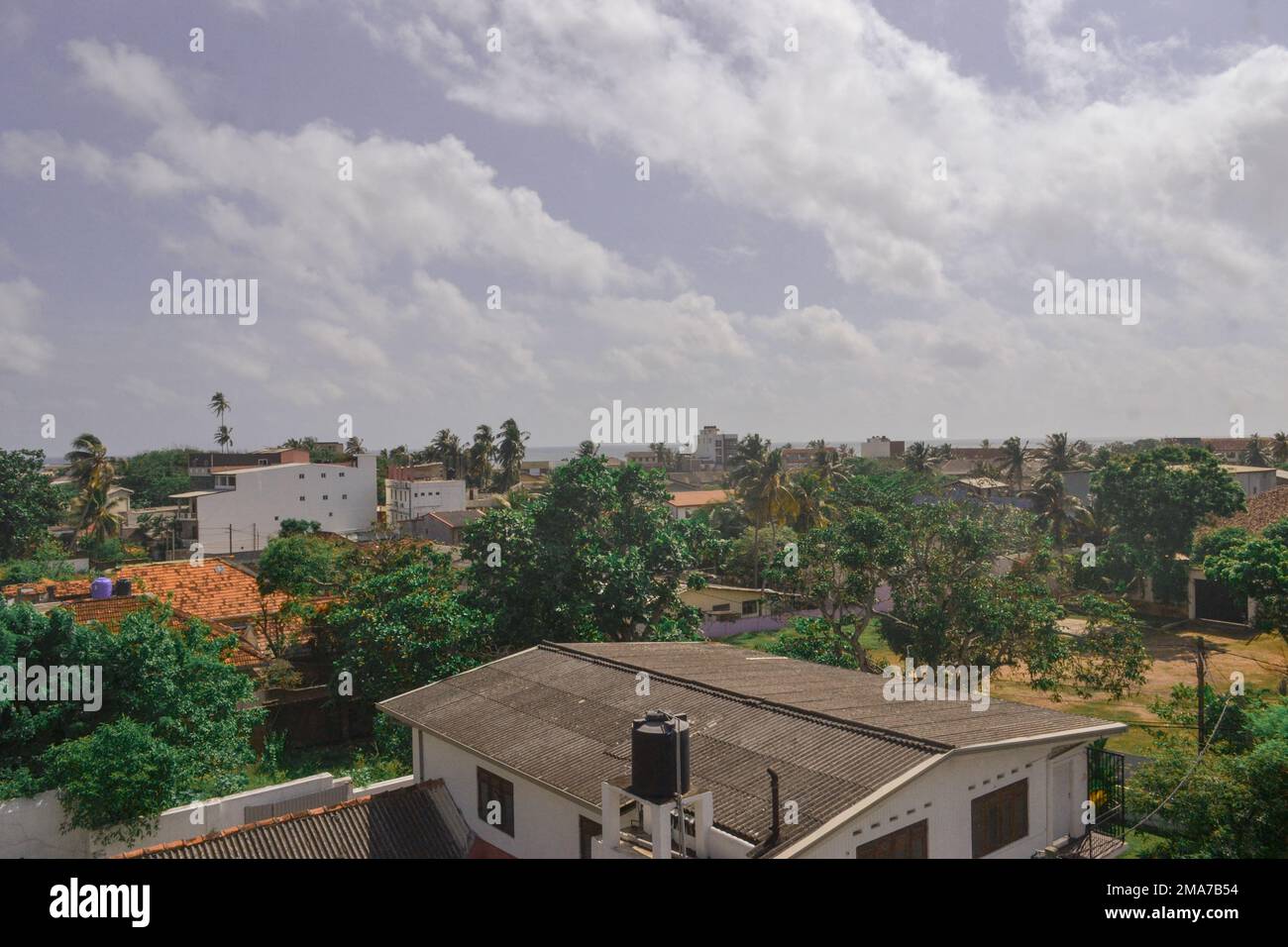 Mix of trees hi-res stock photography and images - Alamy