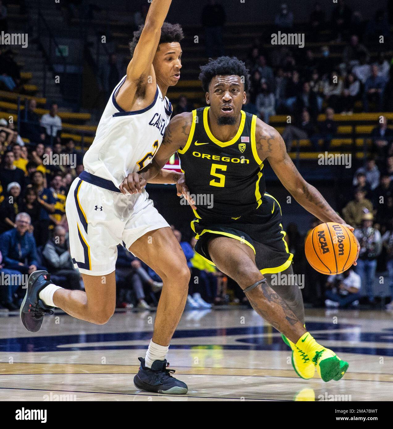 2023 0216 jpg hi-res stock photography and images - Alamy