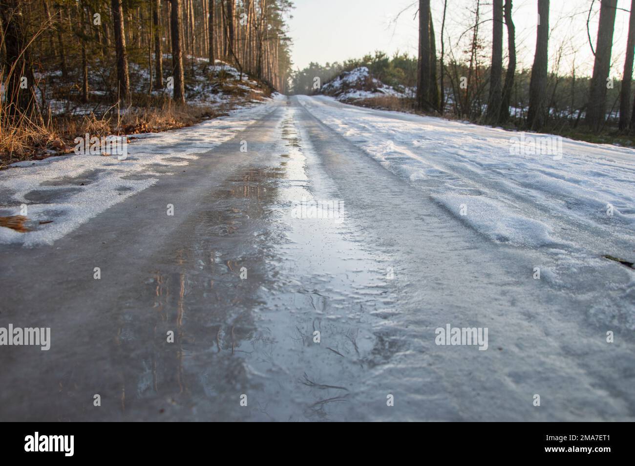 Icy snowy forest on hi-res stock photography and images - Alamy