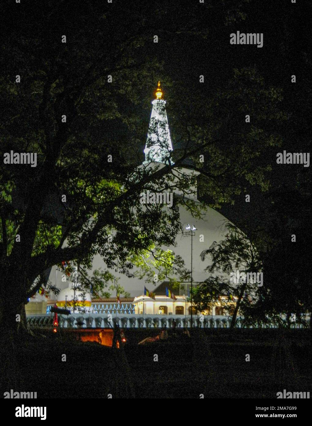 The Anuradhapura Kingdom, the first established kingdom in ancient Sri ...