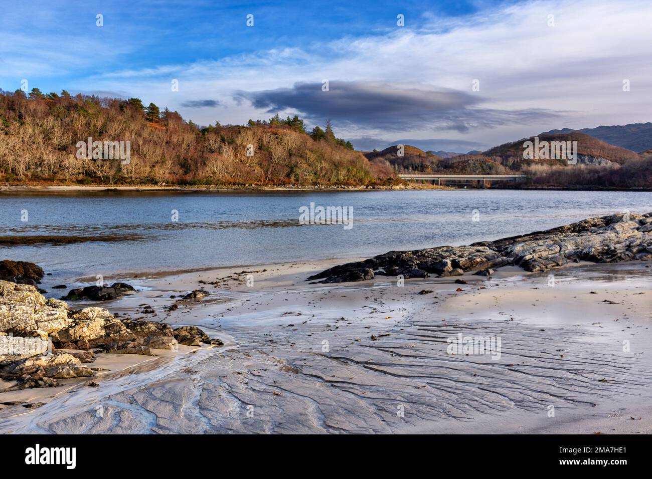 Morar Highland Scotland white sand beach trees on the shoreline and ...