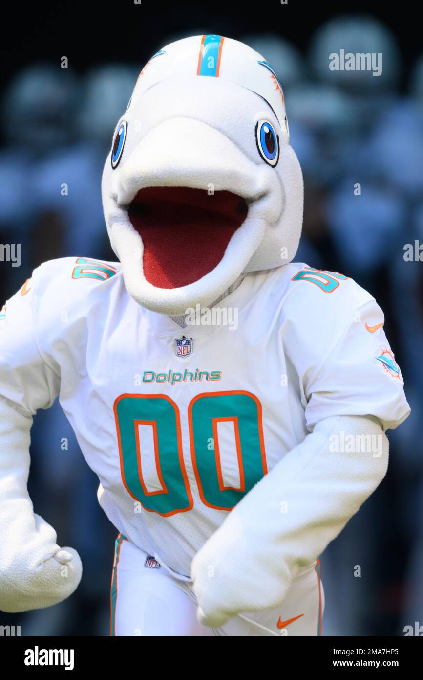 Dolphins Mascot 2022