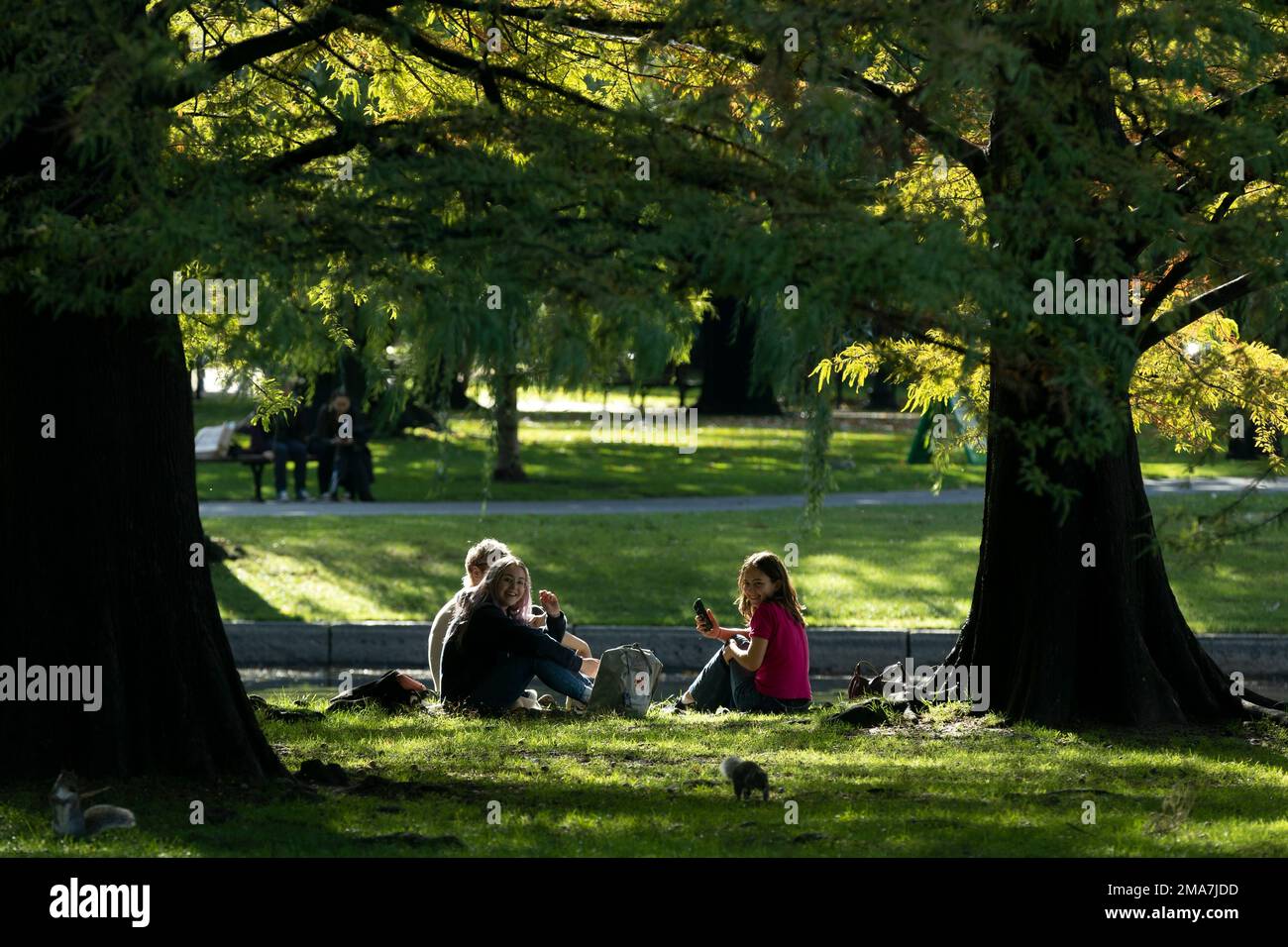 People sit under trees in the Public Garden, Friday, Oct. 14, 2022, in ...