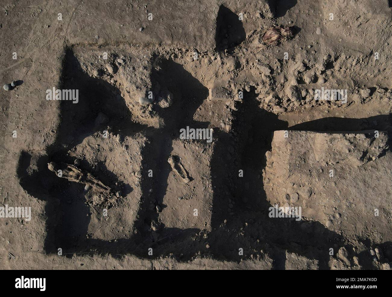 Mummies lay in the ground as they are excavated inside the amusement ...