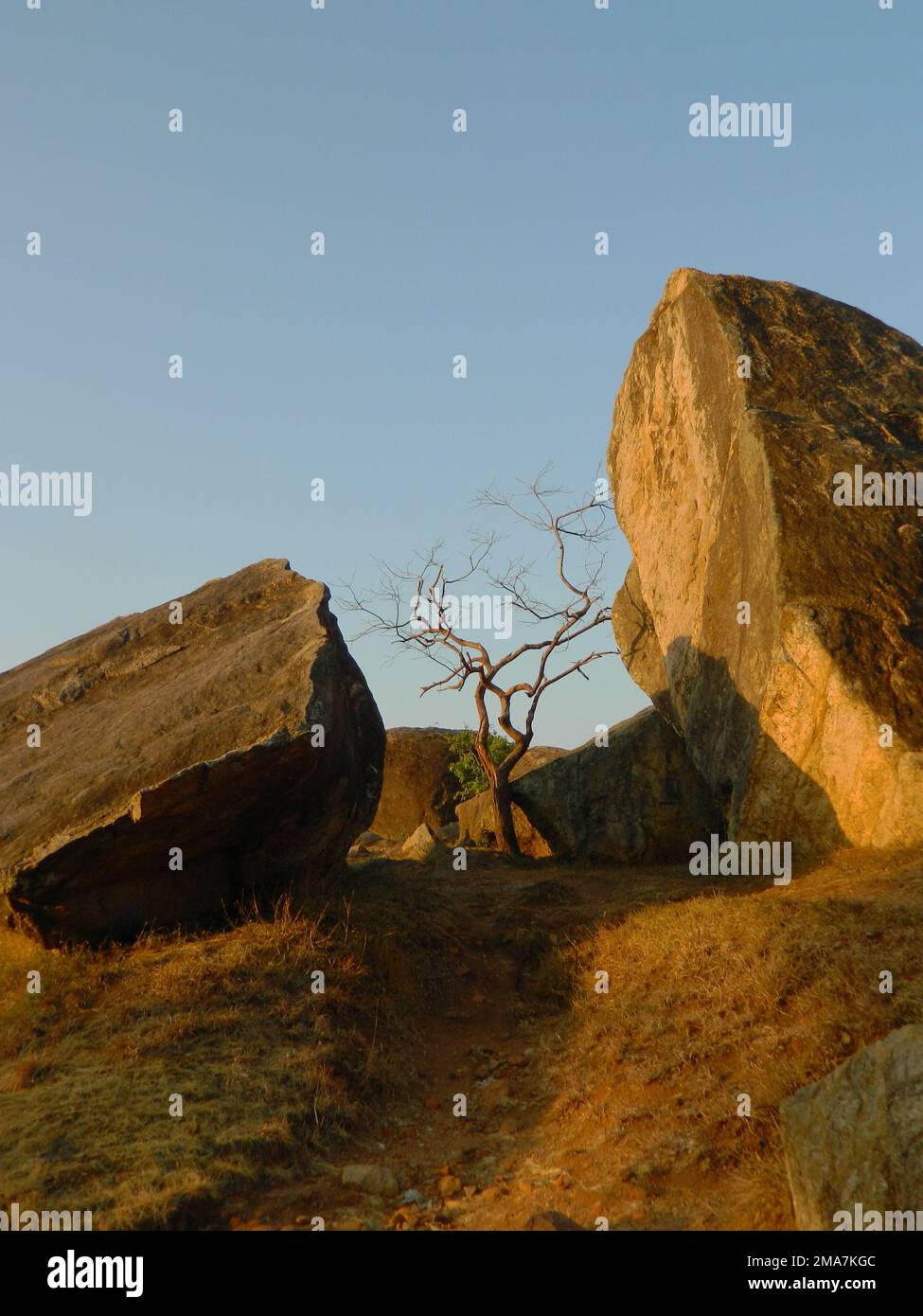 King dewanampiyathissa hi-res stock photography and images - Alamy