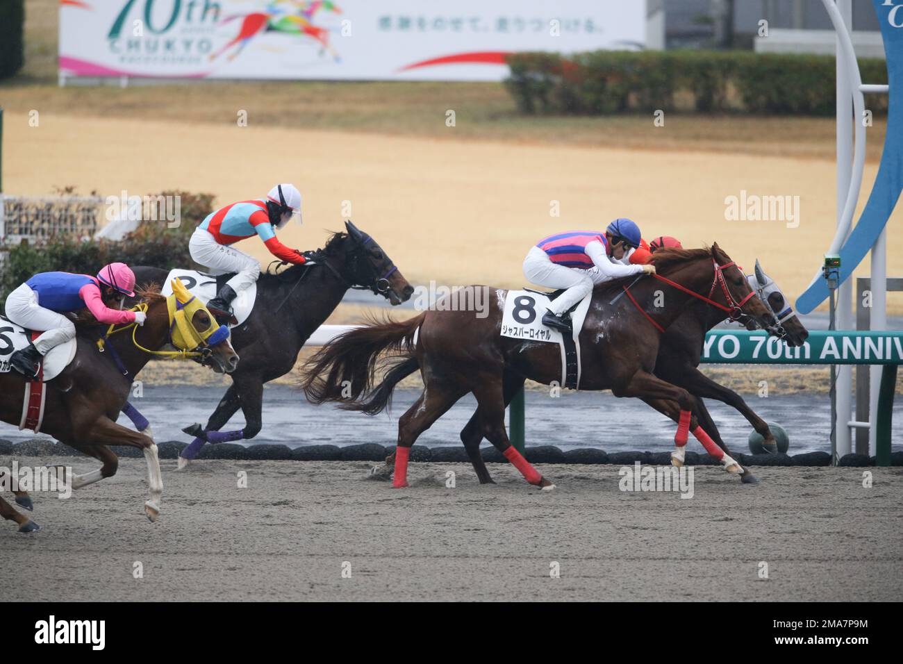 Aichi, Japan. 14th Jan, 2023. Fortina and Taiga Tsunoda win the Chukyo ...