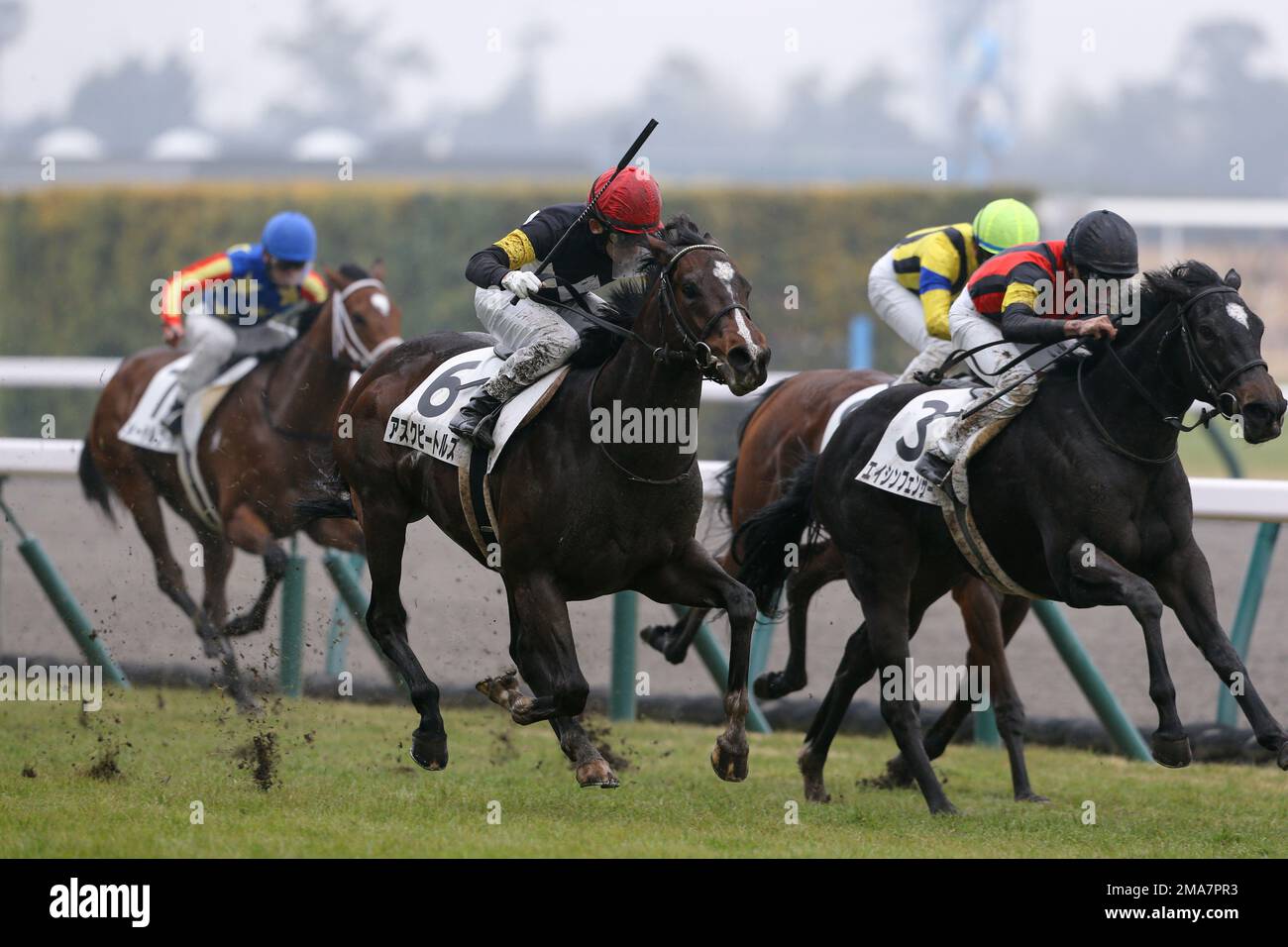 Aichi, Japan. 14th Jan, 2023. Ask Beat Luz and Yuichi Fukunaga win the ...