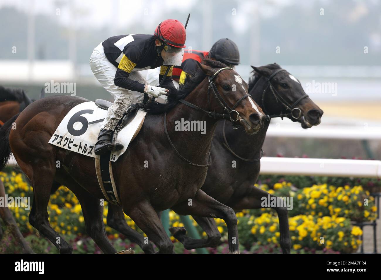 Aichi, Japan. 14th Jan, 2023. Ask Beat Luz (6) and Yuichi Fukunaga win ...