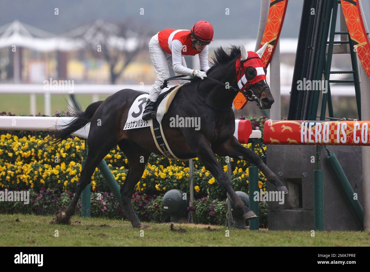 Aichi, Japan. 14th Jan, 2023. Shonan Bashitto and Yuichi Fukunaga win ...