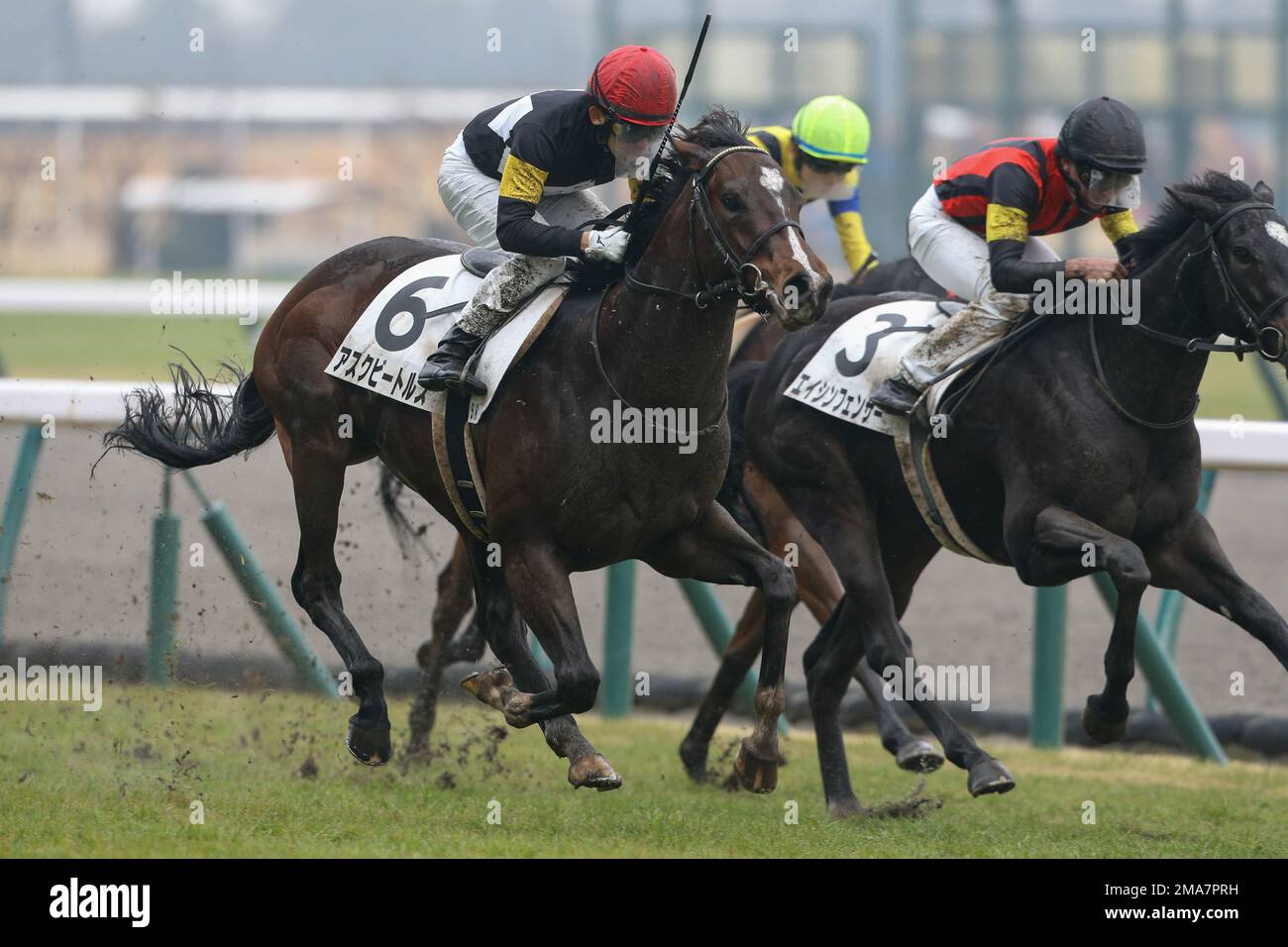 Aichi, Japan. 14th Jan, 2023. Ask Beat Luz (6) and Yuichi Fukunaga win ...