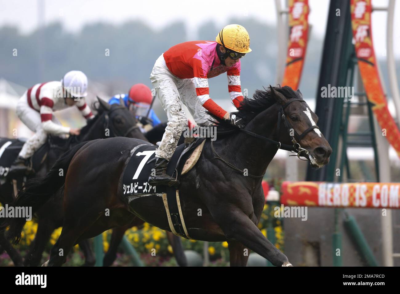 Aichi, Japan. 14th Jan, 2023. Shelby's Eye and Yutaka Take win the ...
