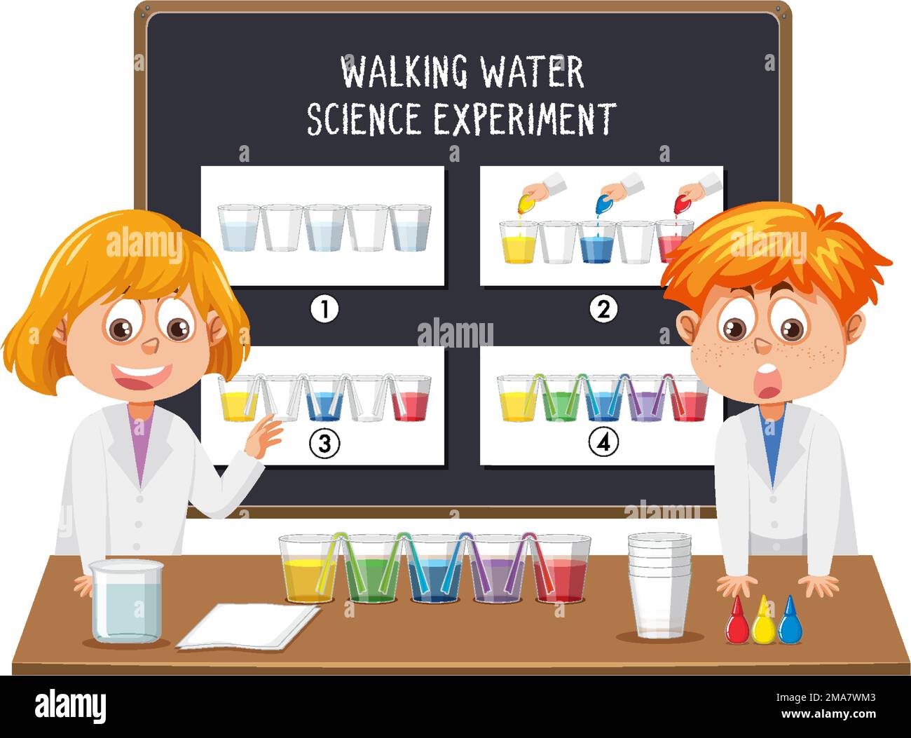 Walking Water Science Experiment illustration Stock Vector Image & Art ...