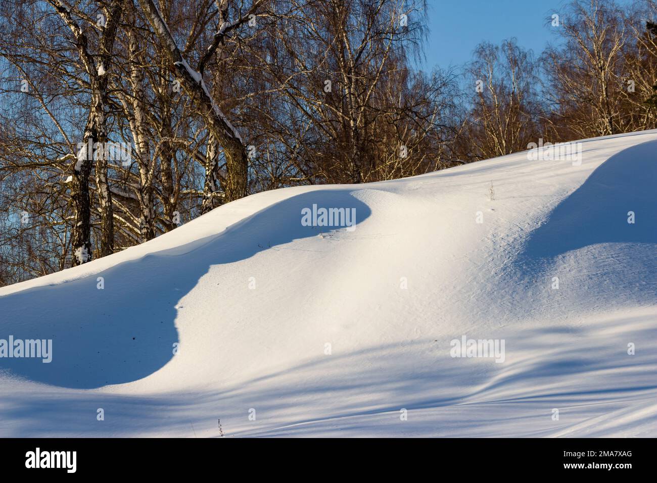 Heavy precipitation snowstorm hi-res stock photography and images - Alamy