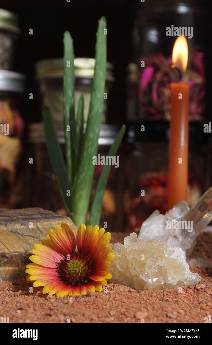 Flower With Pyrite Rocks and Crystals on Australian Red Sand Stock ...
