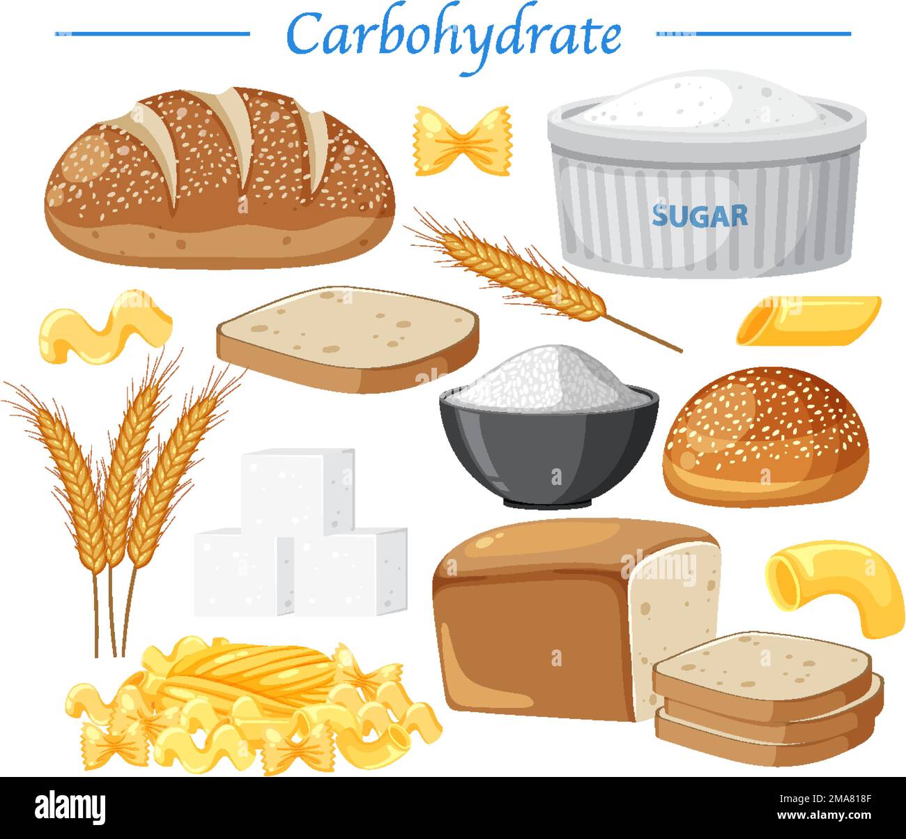 Variety of carbohydrates foods vector illustration Stock Vector Image ...