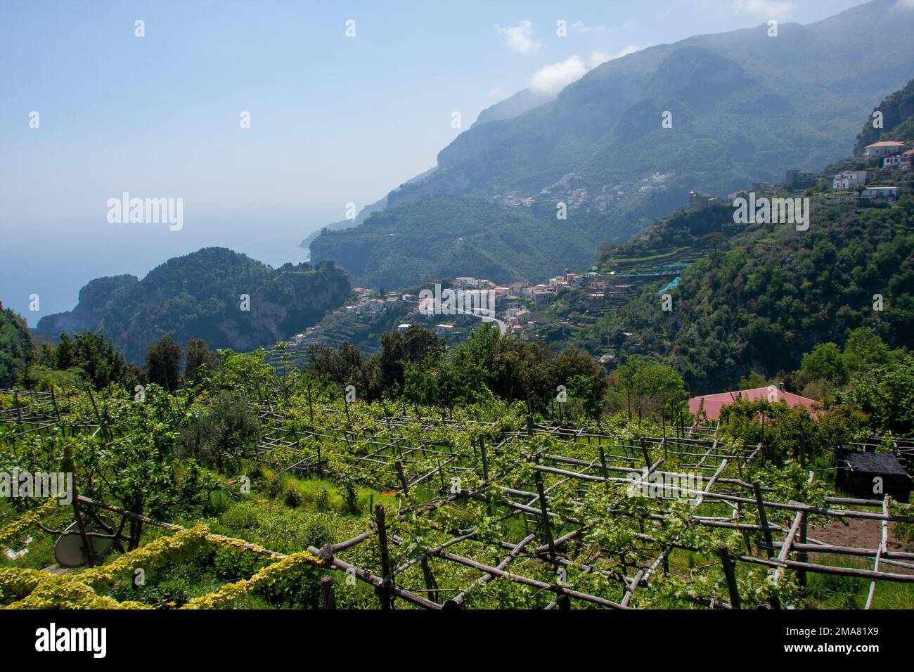 Tourism italy agriculture hi-res stock photography and images - Alamy