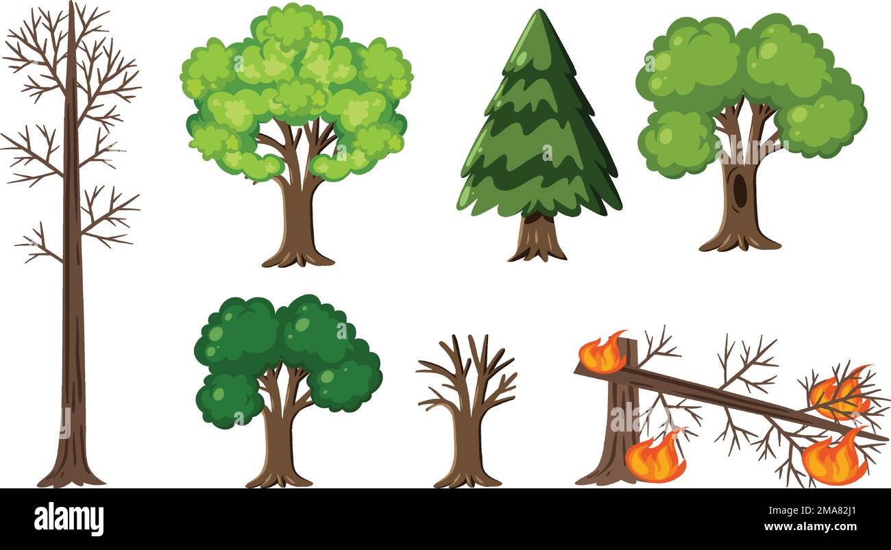 Set of tree in different condition illustration Stock Vector Image ...