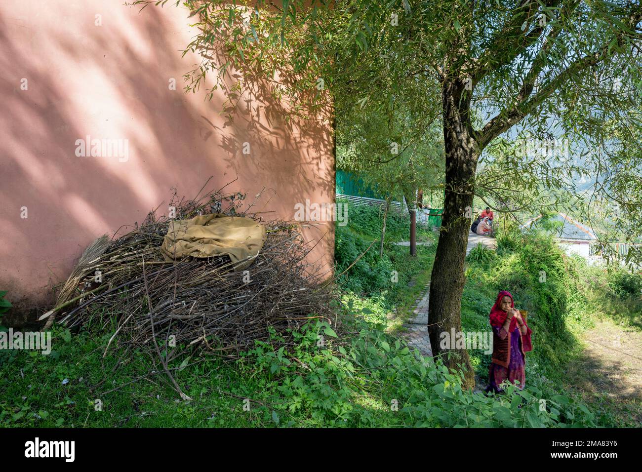 Firewood is stacked against a wall as a woman walks past a willow tree ...