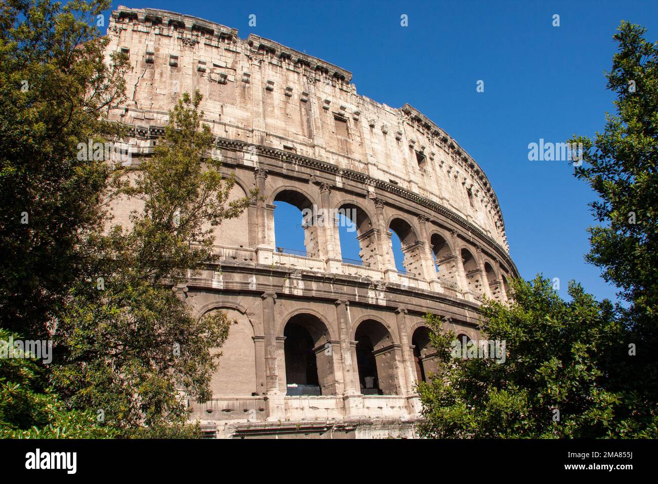 The Colosseum in Rome Italy Stock Photo - Alamy
