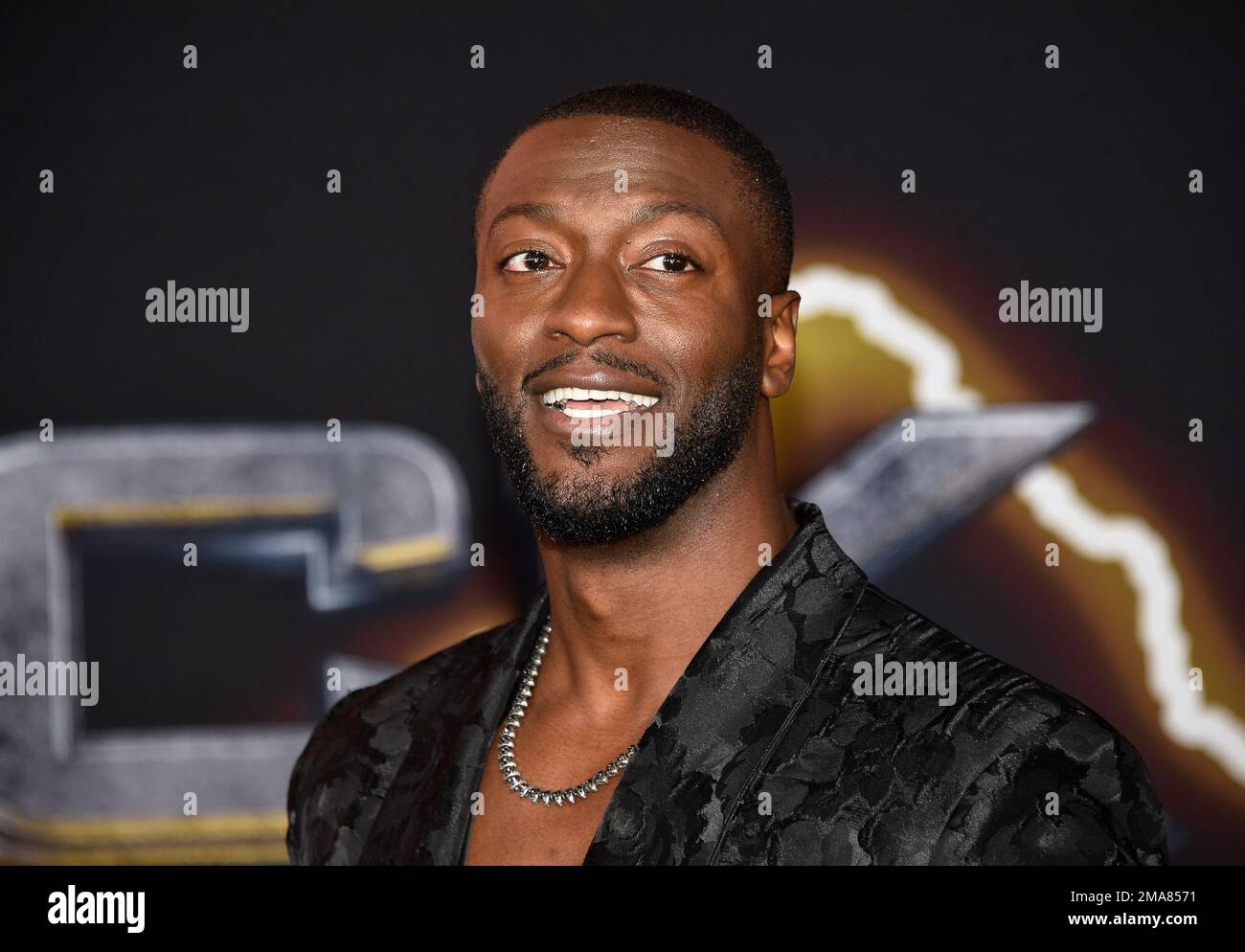 Aldis Hodge attends the world premiere of "Black Adam" in Times Square ...