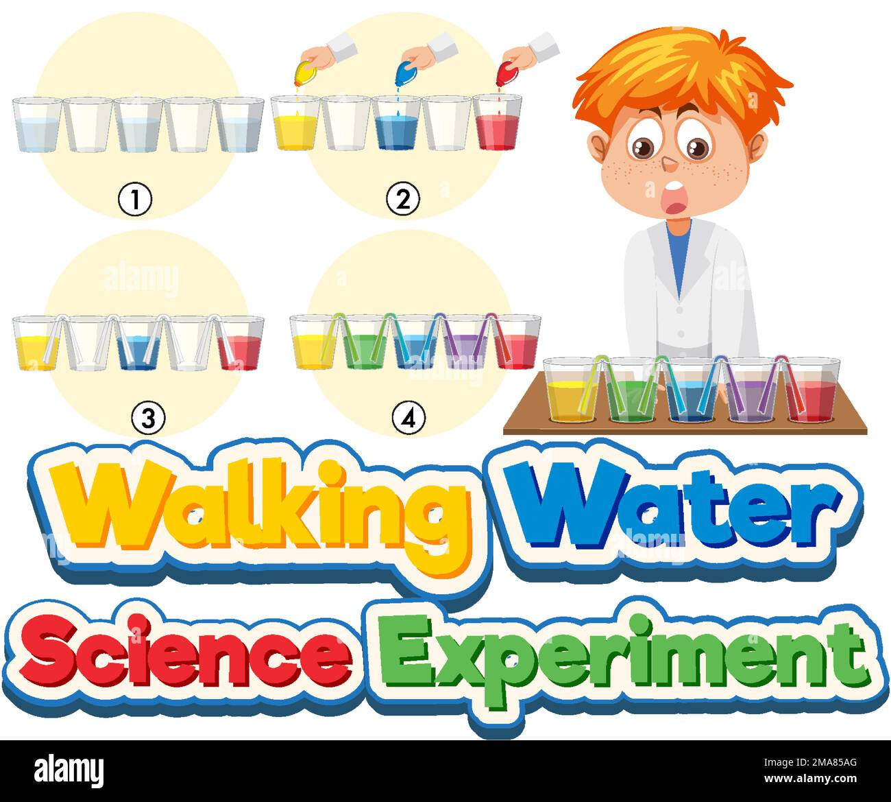 Walking water science experiment illustration Stock Vector Image & Art ...