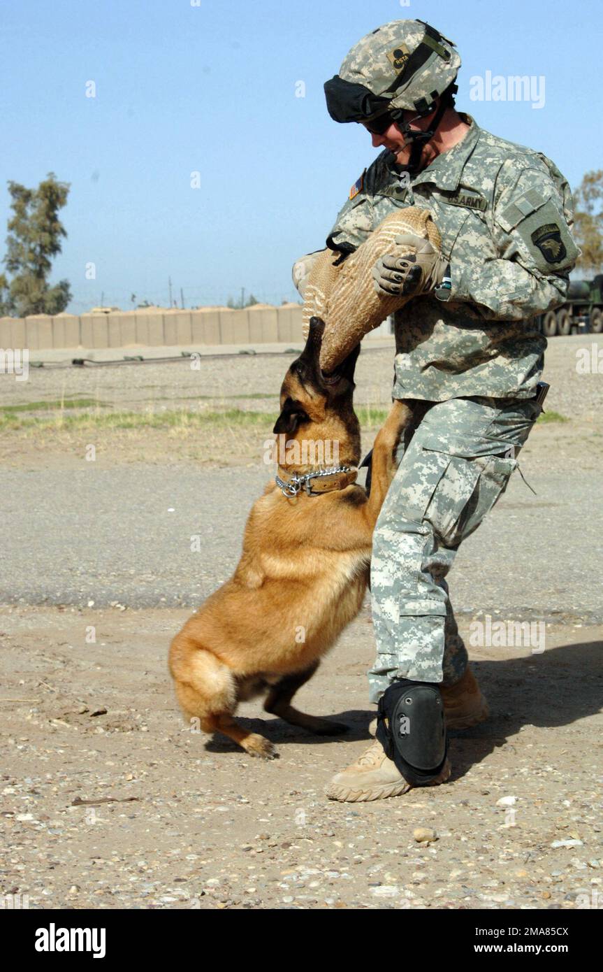060228-A-1211S-248. Subject Operation/Series: IRAQI FREEDOM Base ...