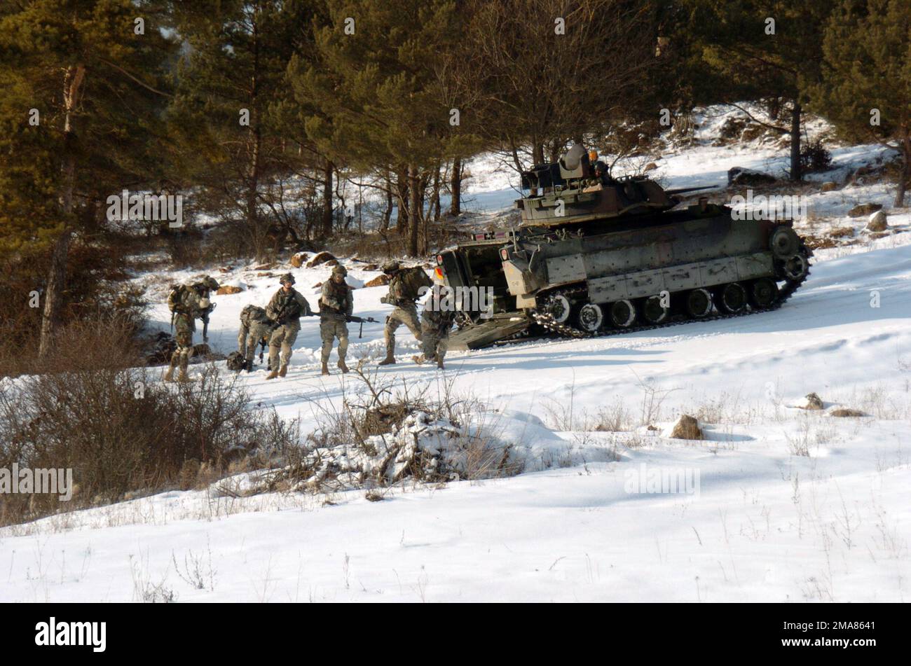 Noble shepherd hi-res stock photography and images - Alamy