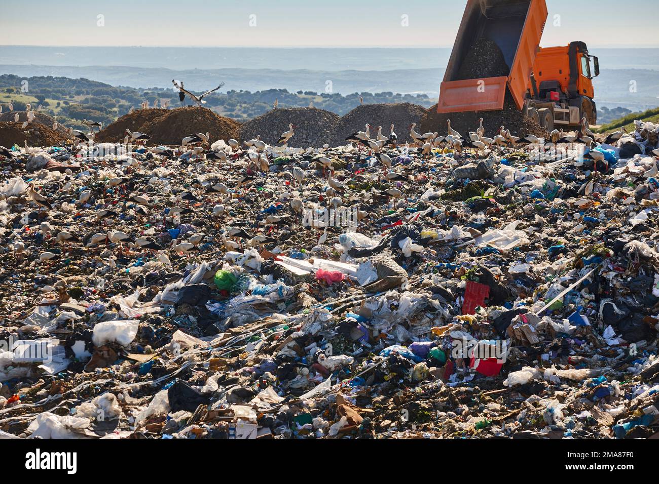Truck unloading soil at a landfill site. Environmental damage. Waste ...