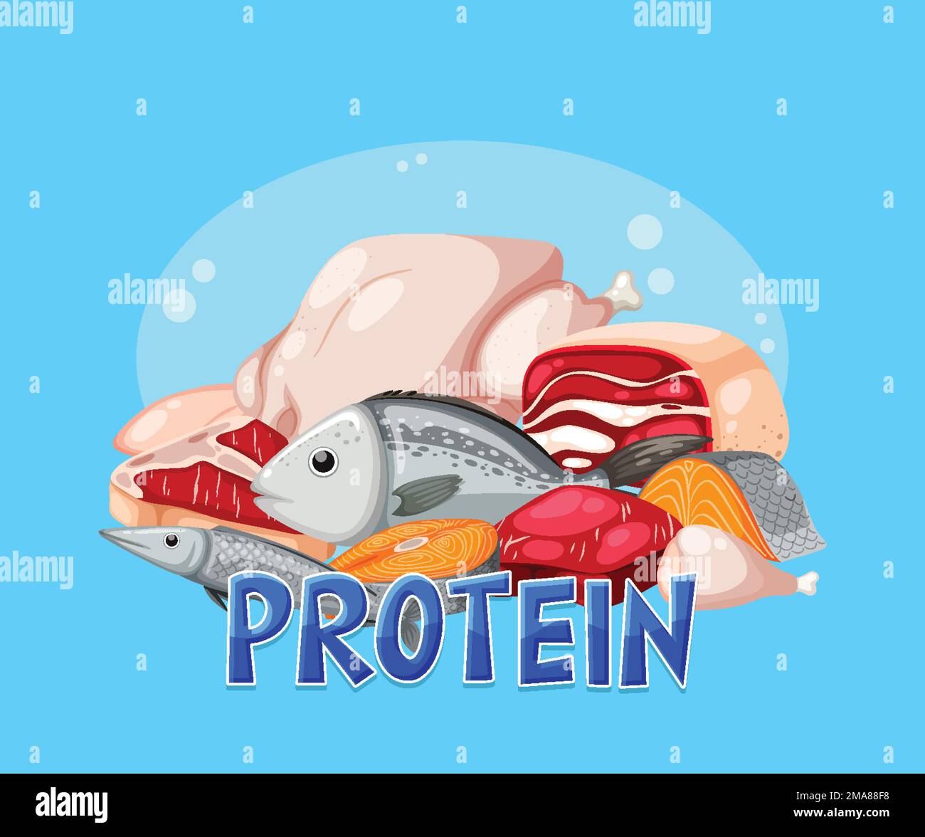 Variety of protein foods poster illustration Stock Vector Image & Art ...