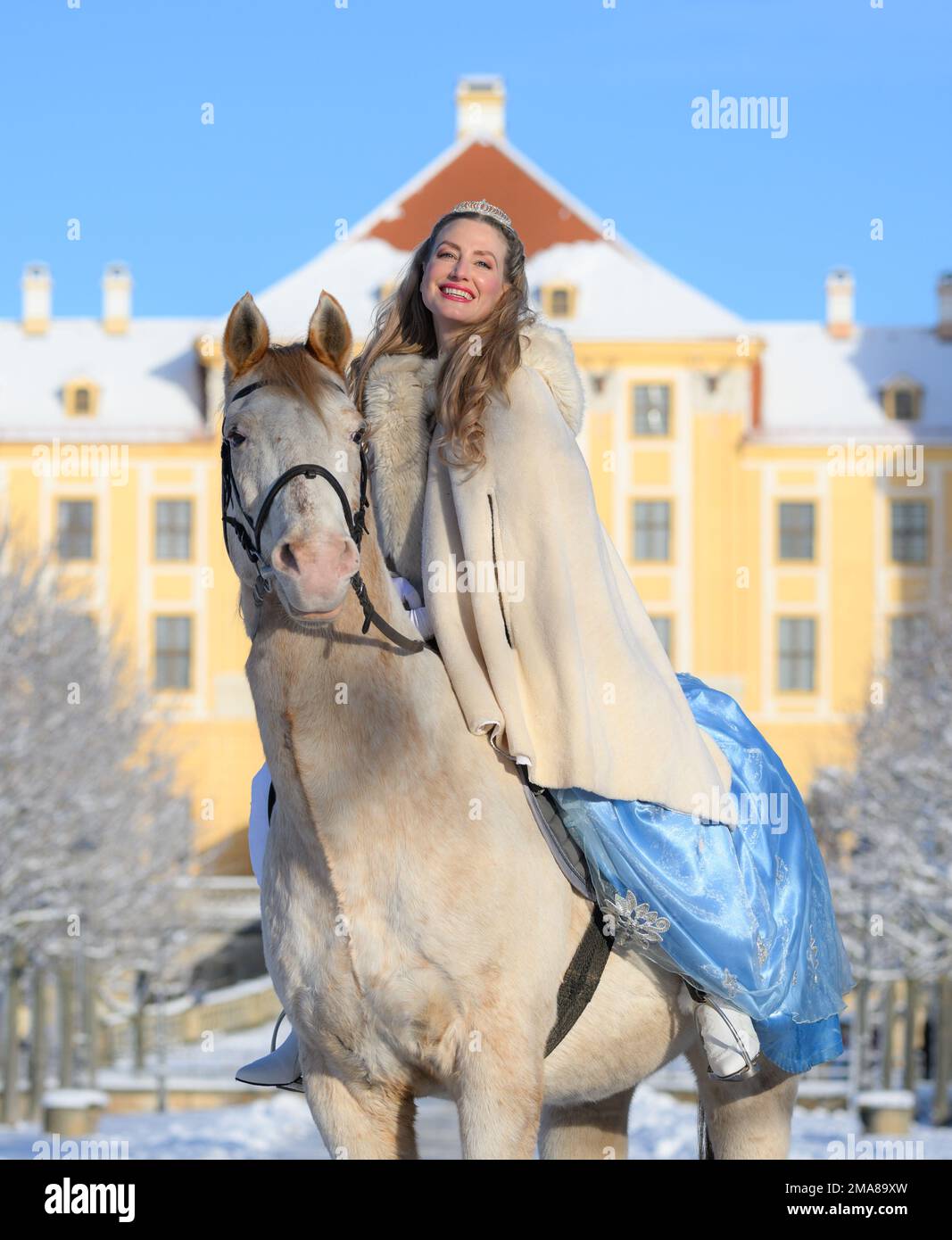 Sandra major hi-res stock photography and images - Alamy