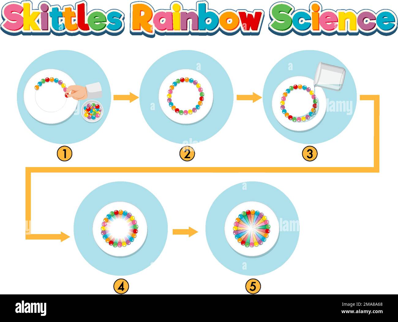 Rainbow skittles science experiment illustration Stock Vector Image ...