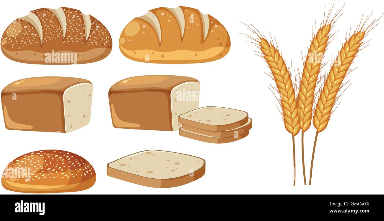 Set of bread and wheat illustration Stock Vector Image & Art - Alamy