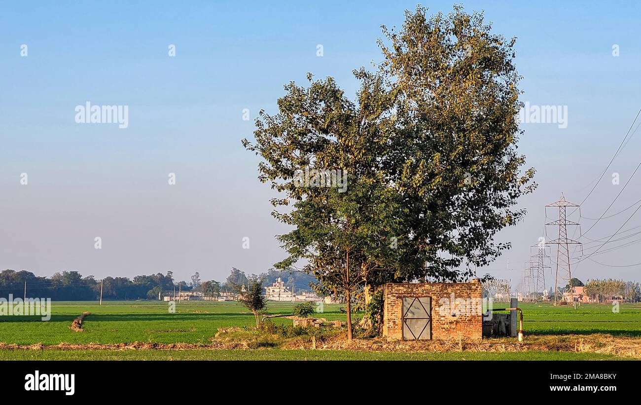 A small rural stone structure with green trees in the field Stock Photo ...
