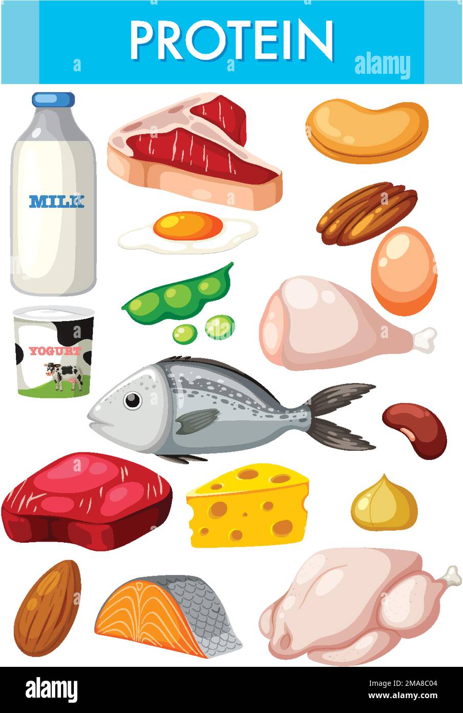 Variety of protein foods illustration Stock Vector Image & Art - Alamy