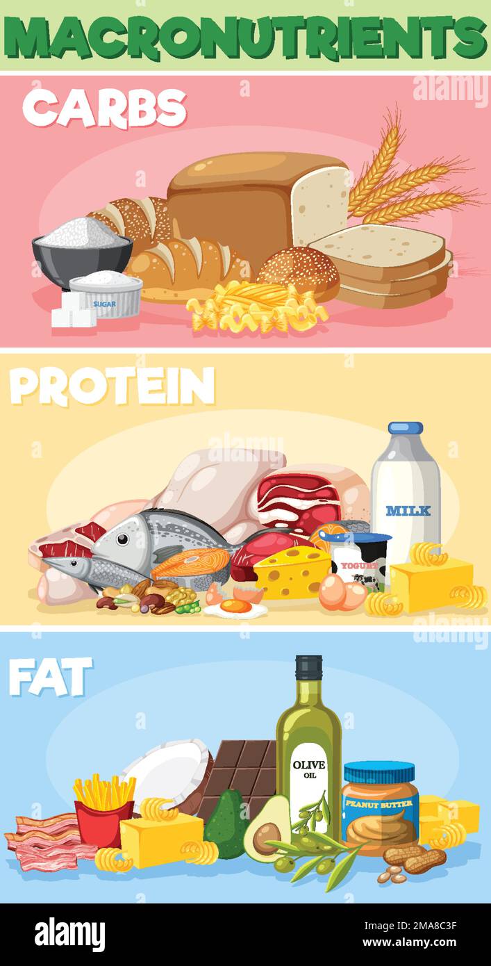 Macronutrients diagram with food ingredients illustration Stock Vector ...