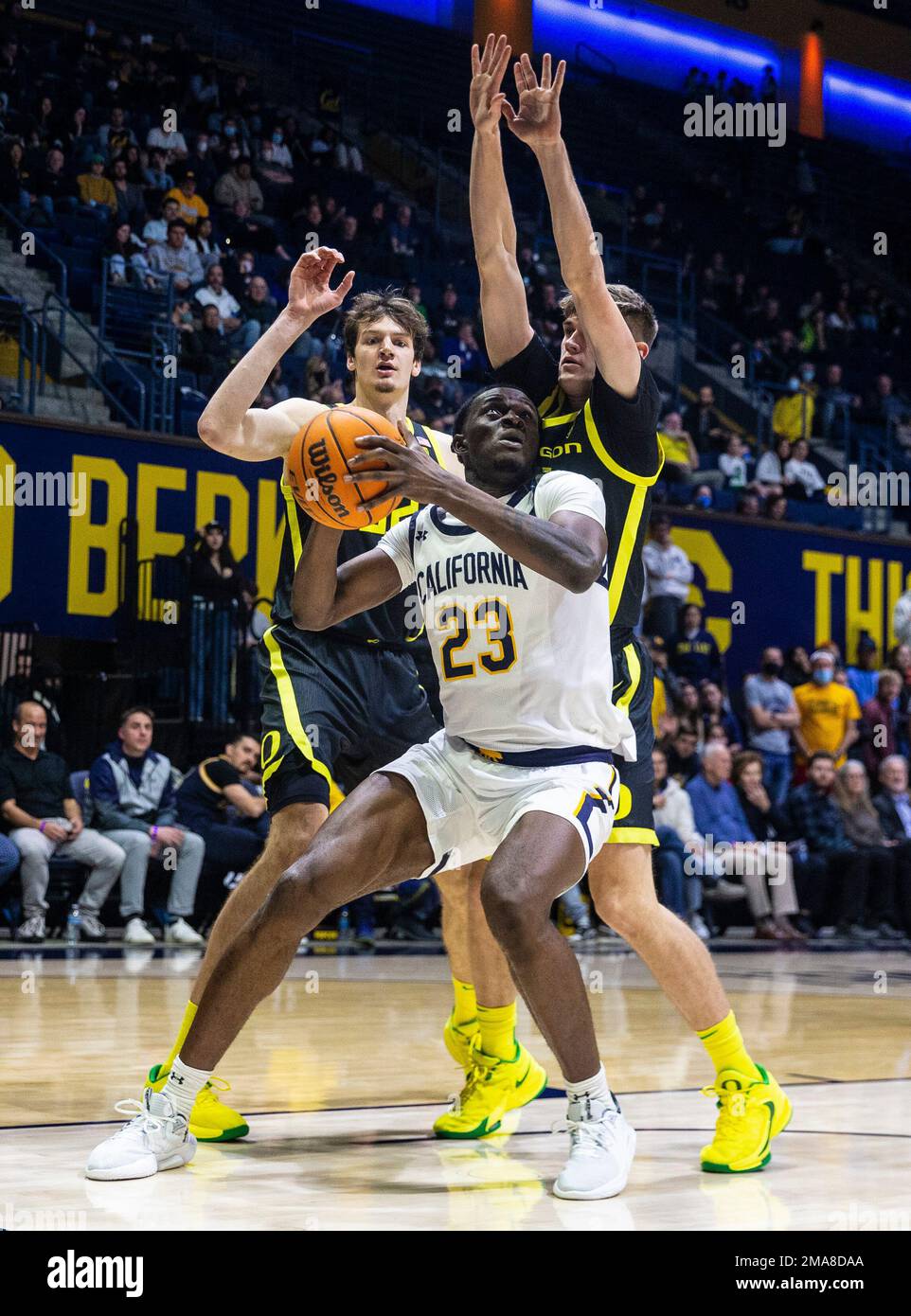 2023 0321 jpg hi-res stock photography and images - Alamy