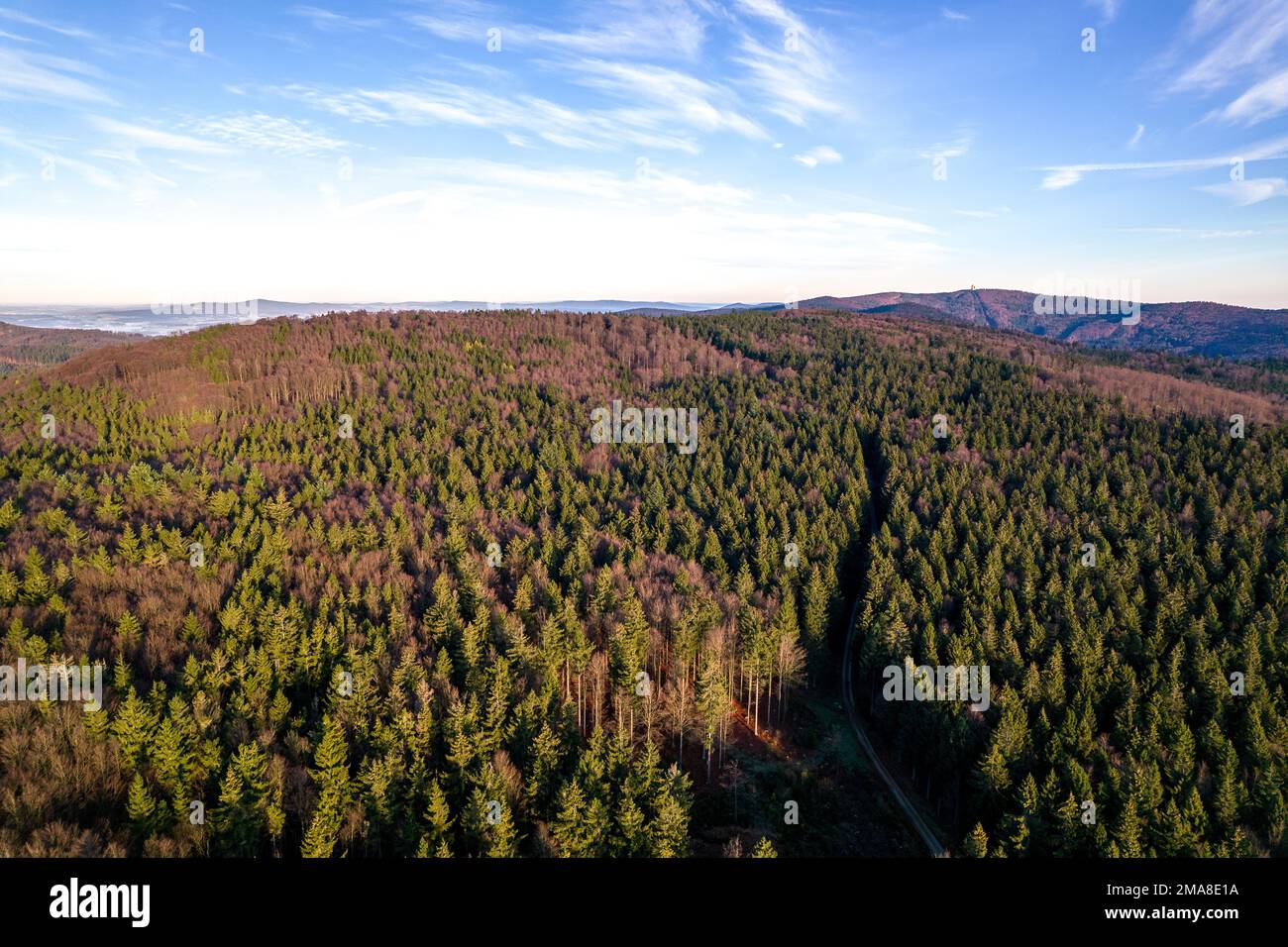 Waldspaziergang autumn hi-res stock photography and images - Alamy