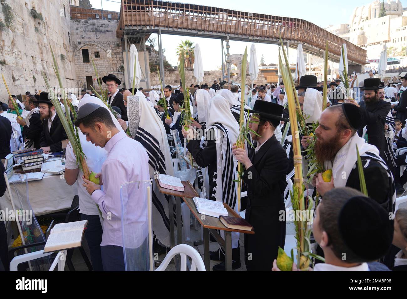 Worshippers hold the four species of Sukkot gather for a blessing by ...