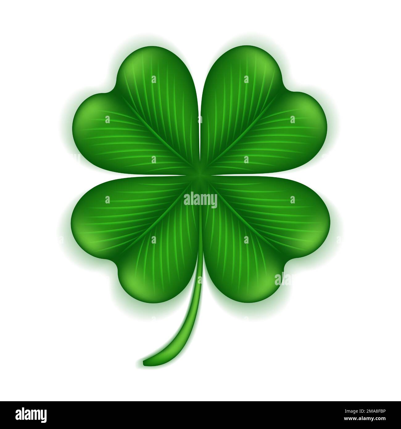 Four leaf clover 3d isolated on white background. Clover leaf, the ...